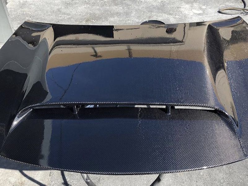 2015 2016 2017 2018 2019 Dodge Charger Demon Hood